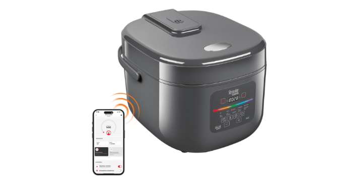 Мультиварка Redmond SkyCooker MC100S: обзор за 5 секунд | My Gadget